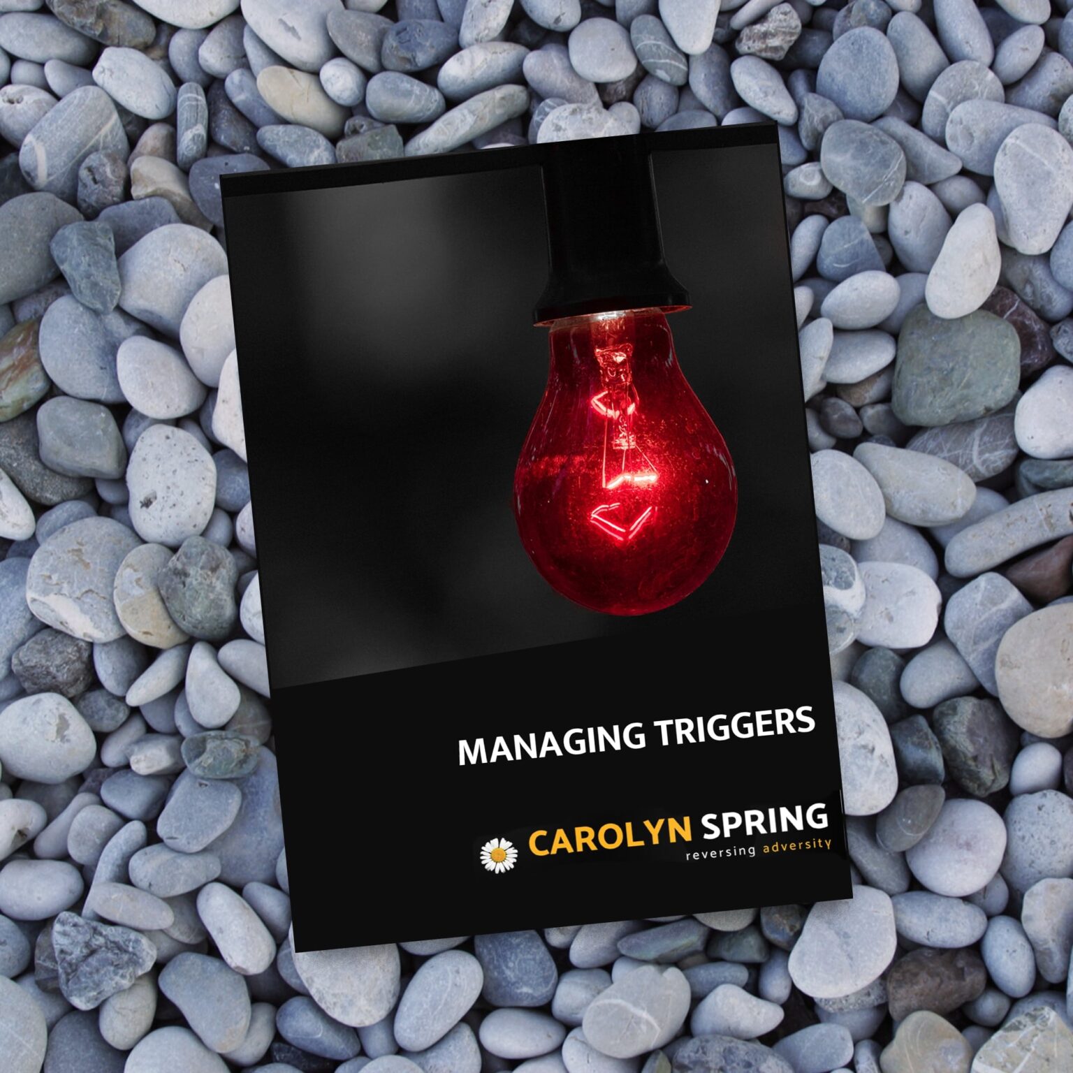 Managing Triggers (PDF) | Carolyn Spring