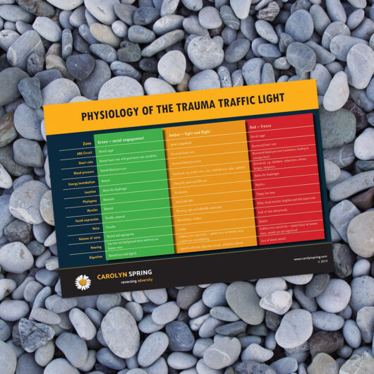 The Physiology of the Trauma Traffic Light (Poster) | Carolyn Spring