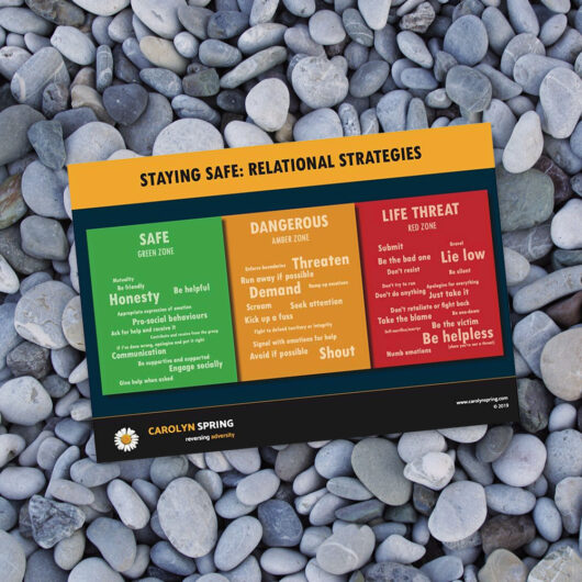 Staying Safe: Relational Strategies (Poster) | Carolyn Spring