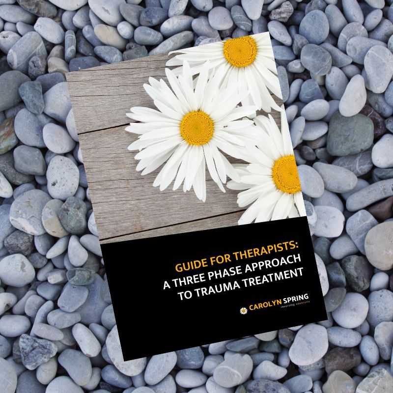 Guide for Therapists: A Three Phase Approach To Trauma Treatment (PDF ...