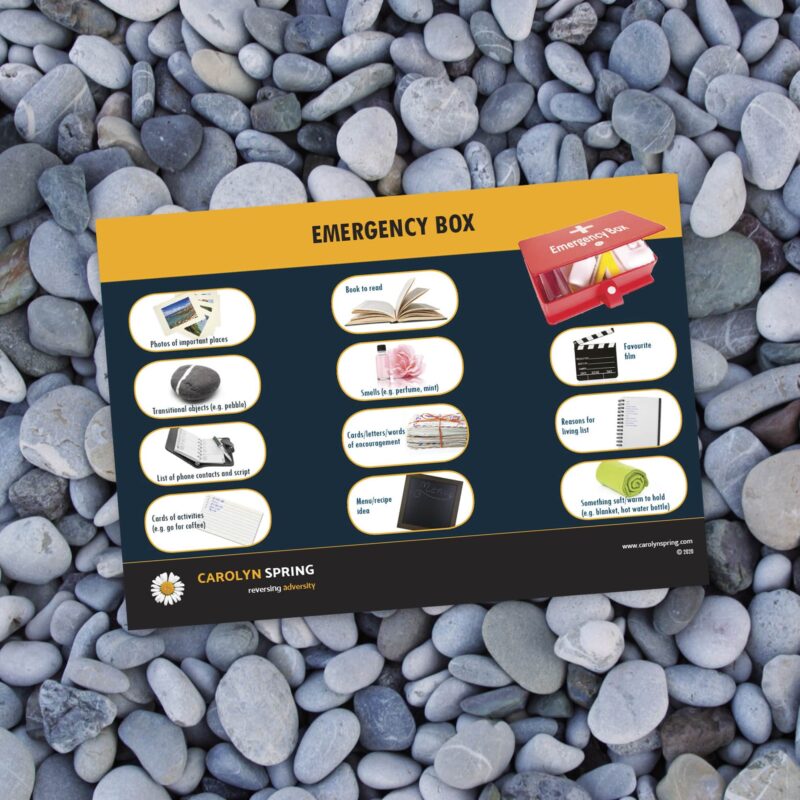 Emergency Box (Poster) | Carolyn Spring