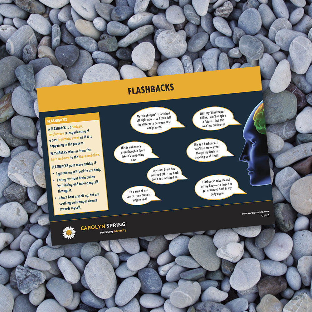 Flashbacks (Poster) | Carolyn Spring