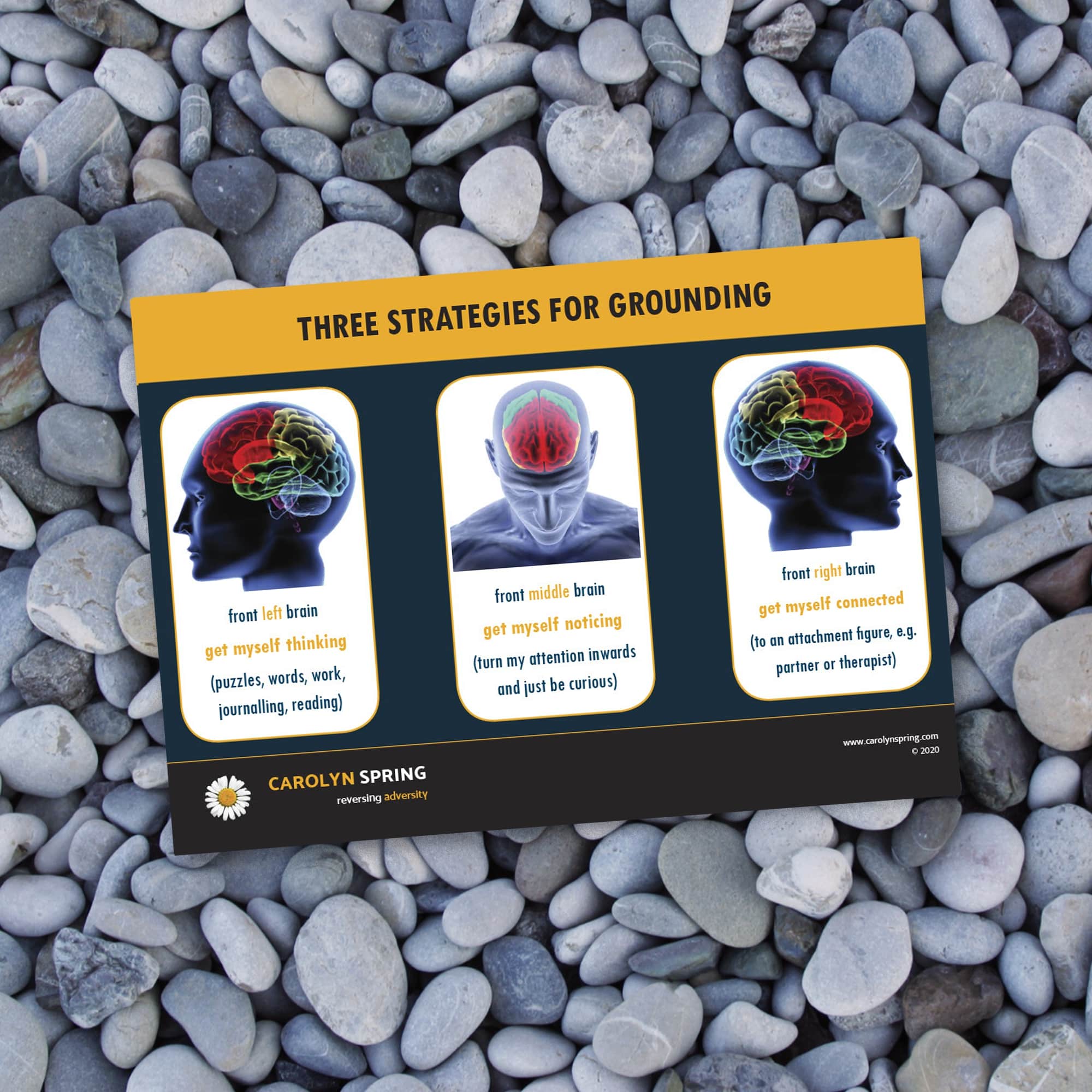 Three Strategies for Grounding (Poster) | Carolyn Spring