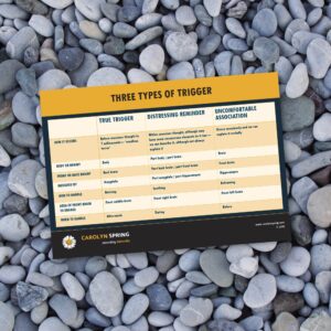 Three Types of Trigger (Poster) | Carolyn Spring