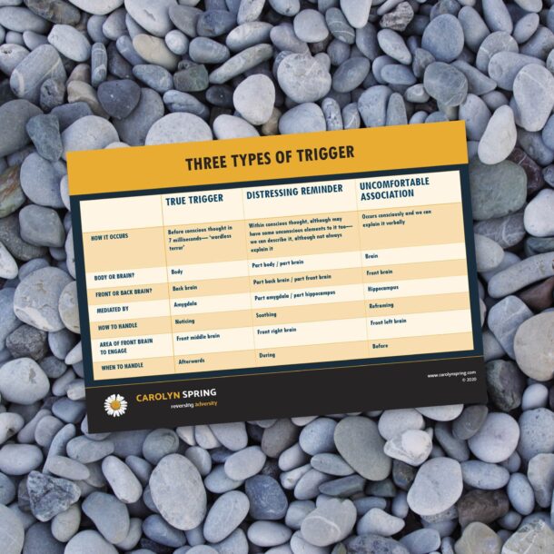 Three Types of Trigger (Poster) | Carolyn Spring