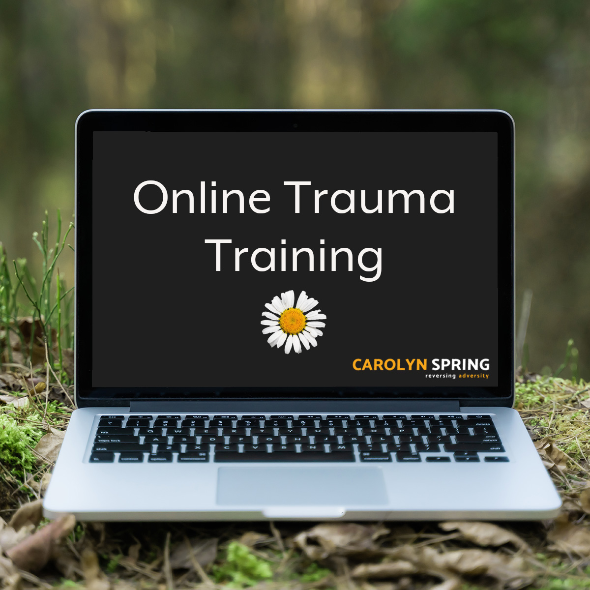 Books by Carolyn Spring | stories of trauma and recovery