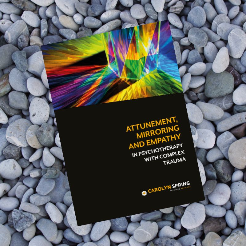 Attunement, mirroring and empathy (PDF) | Carolyn Spring